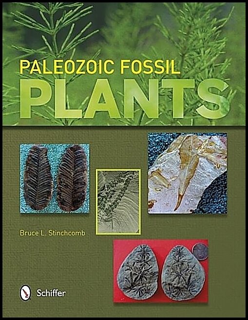 Bok av Bruce L. Stinchcomb: Paleozoic Fossil Plants – bok.hstrom.se ...